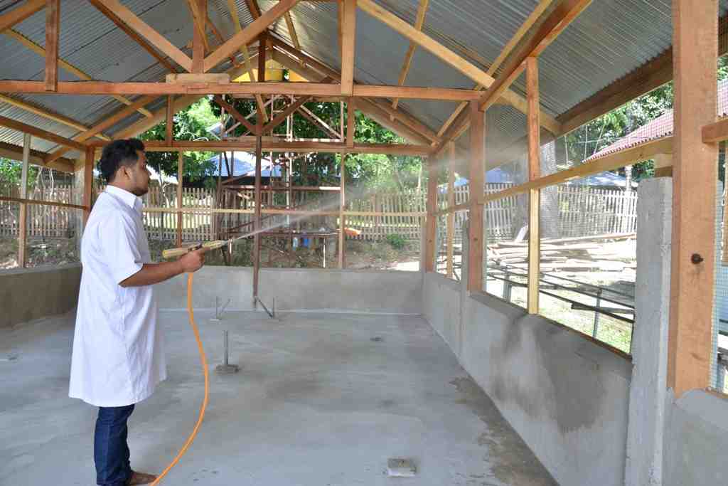 Persiapan Chick In (CI)